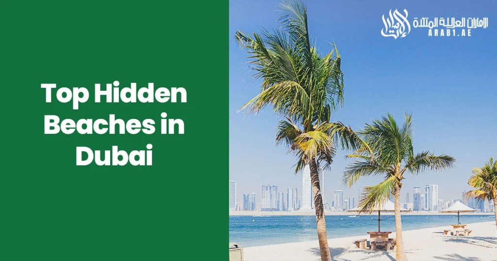Hidden Beaches in Dubai You Must Visit | Secret & Peaceful Spots