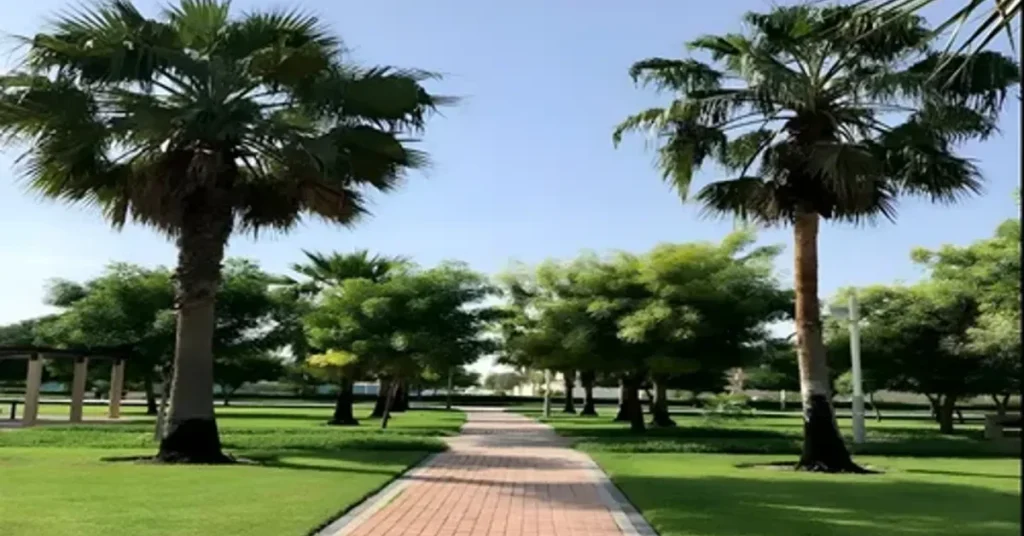 Al Warqa Big Park – Location, Best Time to Visit